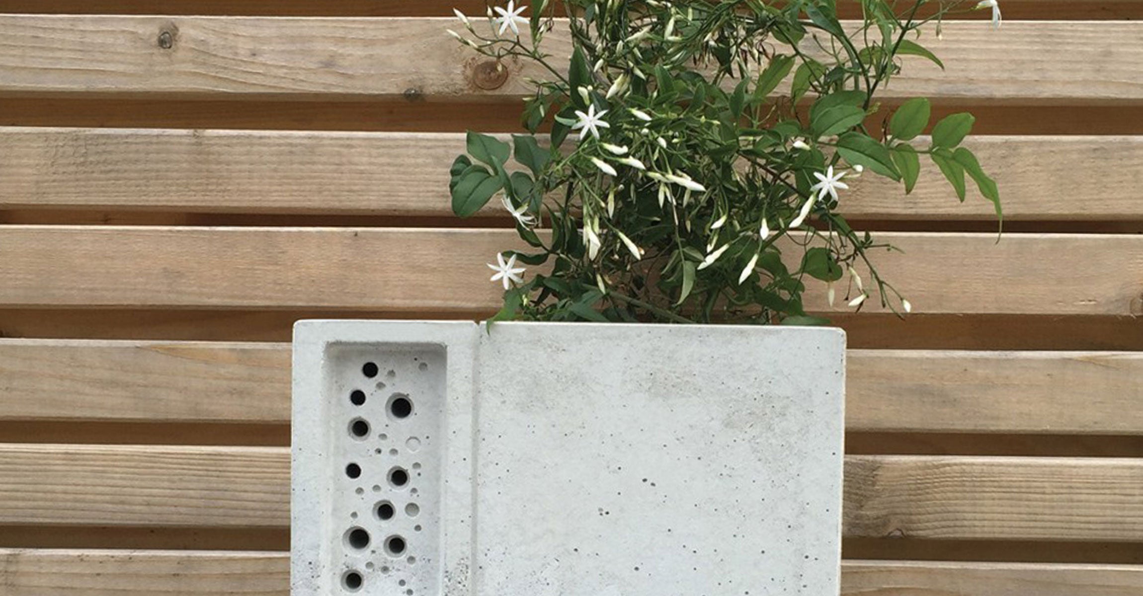 Bee's Favourite Beepot Hotel - SATORI & SCOUT