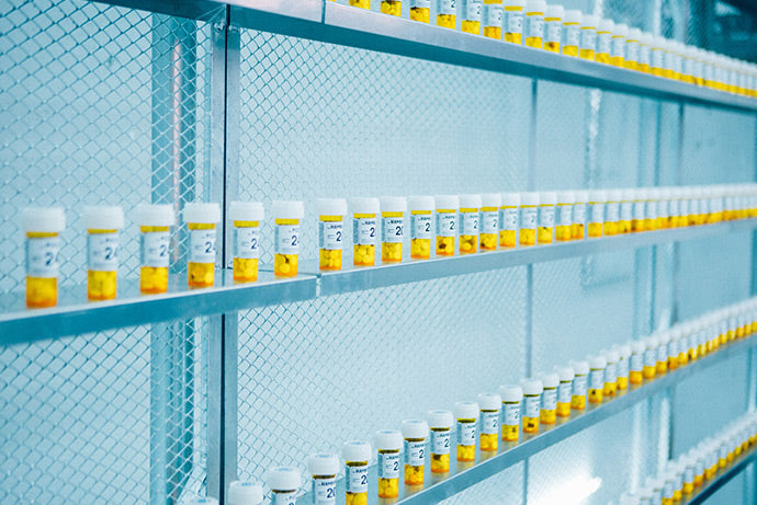 Fast Food Aid For Guilty Pleasures - SATORI & SCOUT