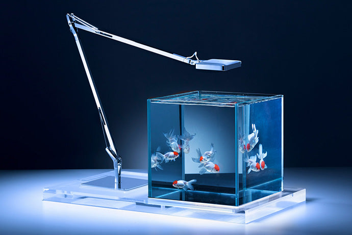 Isolate Fish Tanks Of Minimal Elegance - SATORI & SCOUT