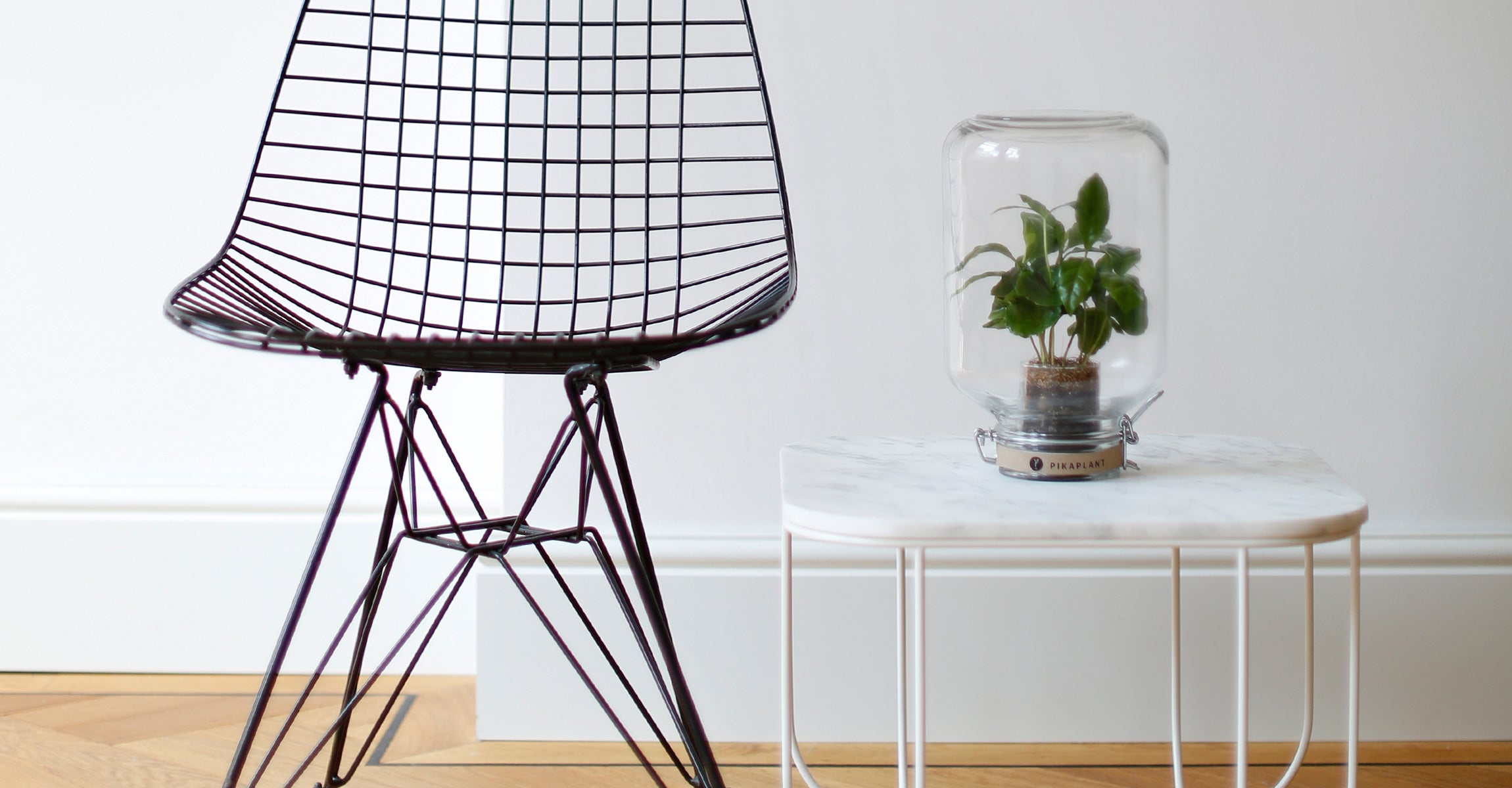 Greener Living With Pikaplant - SATORI & SCOUT